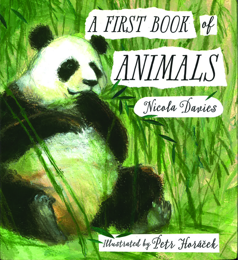 Book review