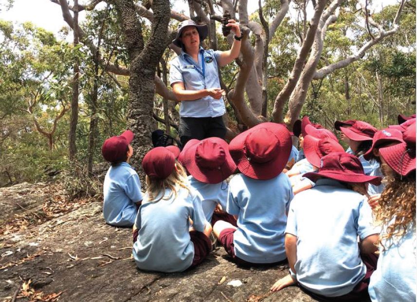 From crisis comes innovation to change nature of environmental education